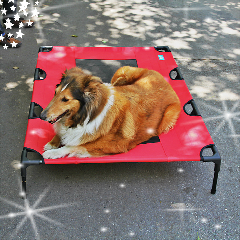 Foldable Pet Bed - House Sofas - Camp Bed